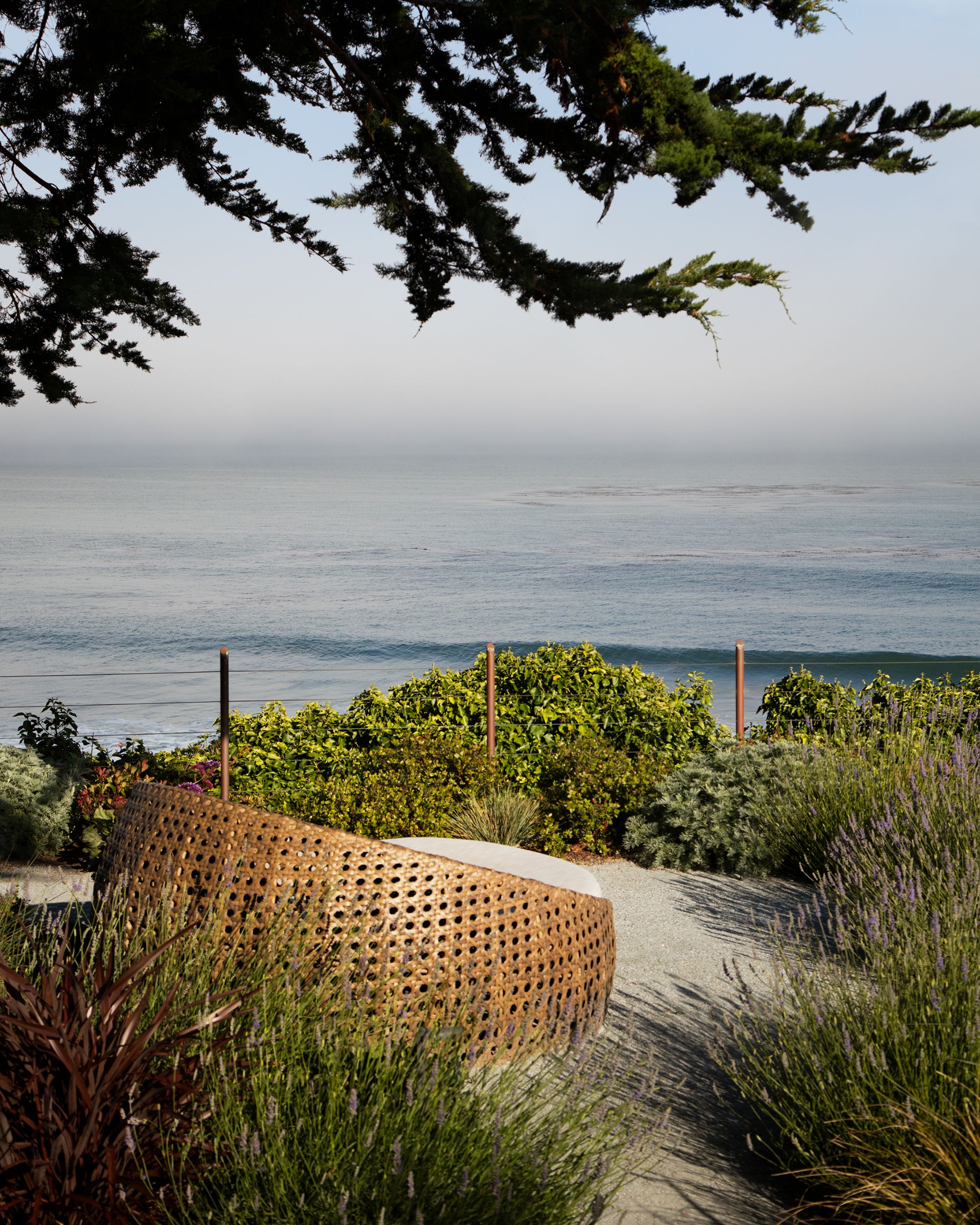 Design Intelligence: Amplifying Nature - Henry Magazine